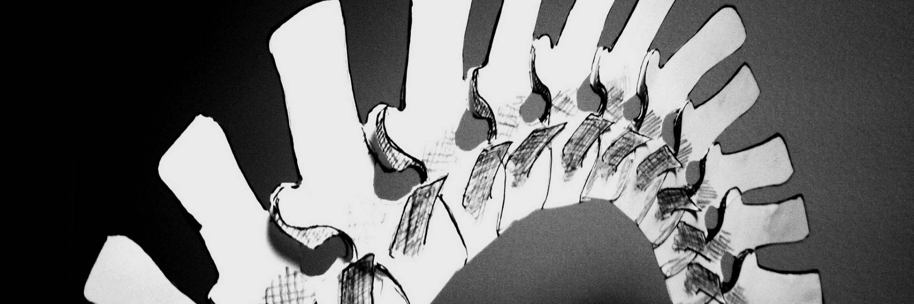 Whale – Incipio Modo